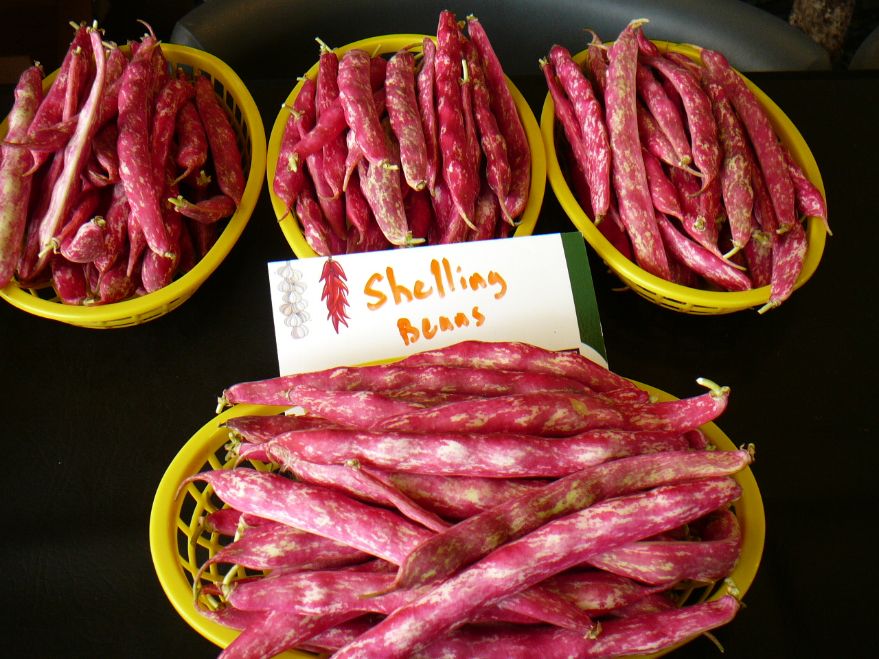 Heirlooms and Saving Seeds – Kate's Garden Kitchen