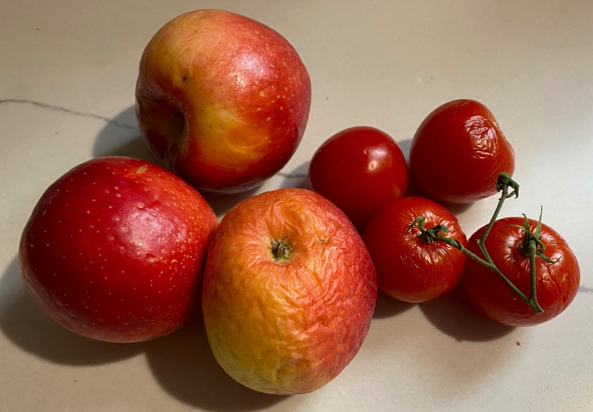 Wrinkly Vegetables – Kate's Garden Kitchen